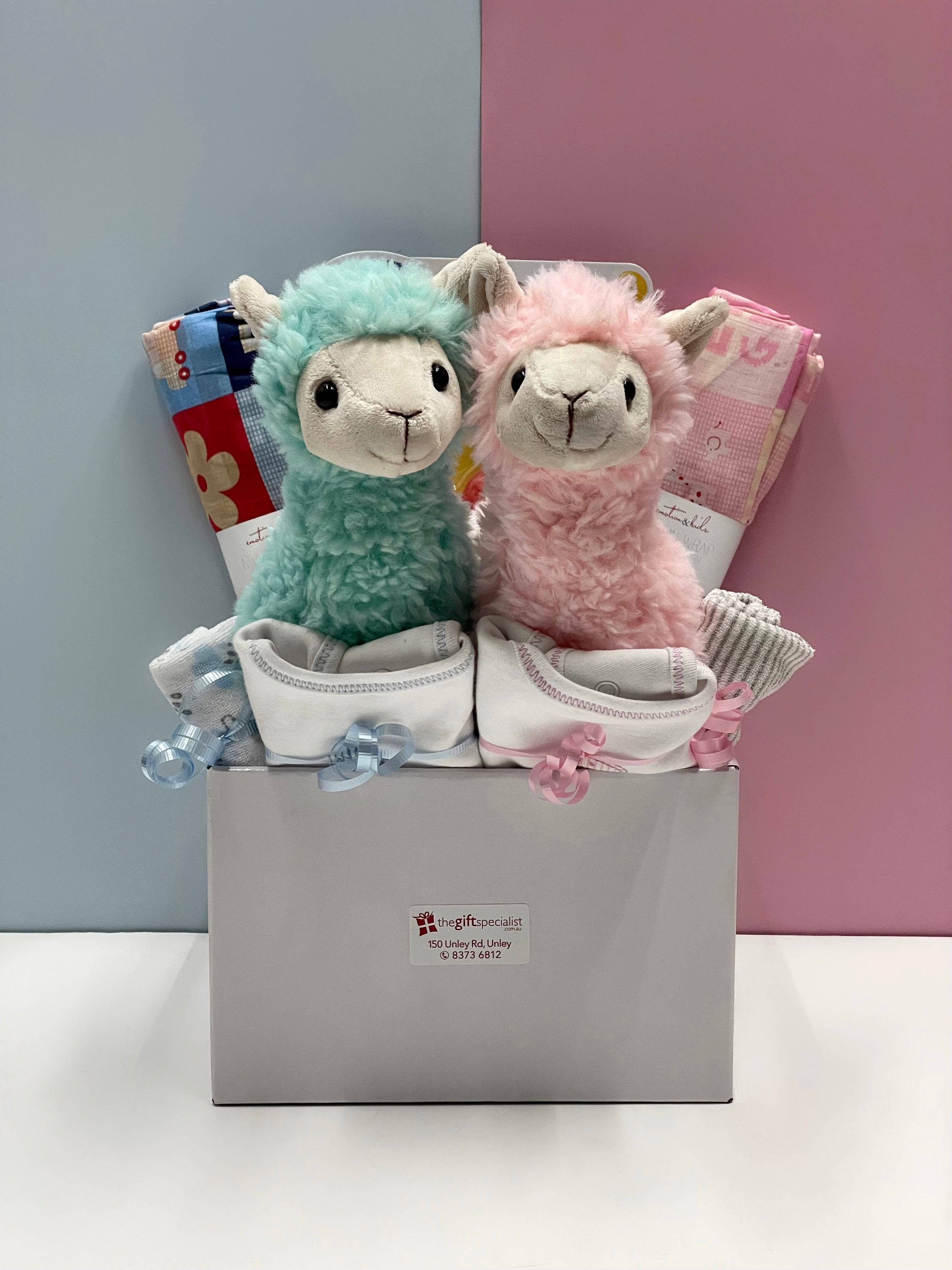 Twins Baby Boxes | The Hamper Specialist